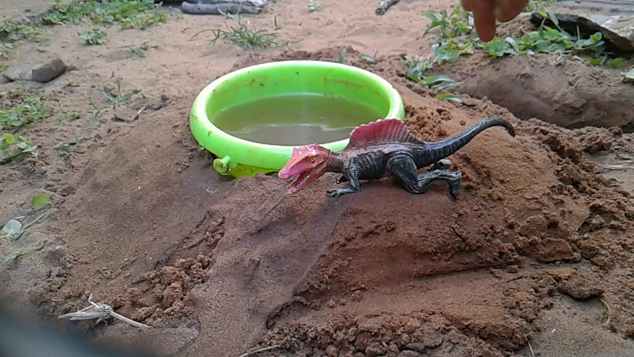 SPINOSAURUS LIFE IN REAL LIFE (EPISODE 1 DRY SEASON) - YouTube