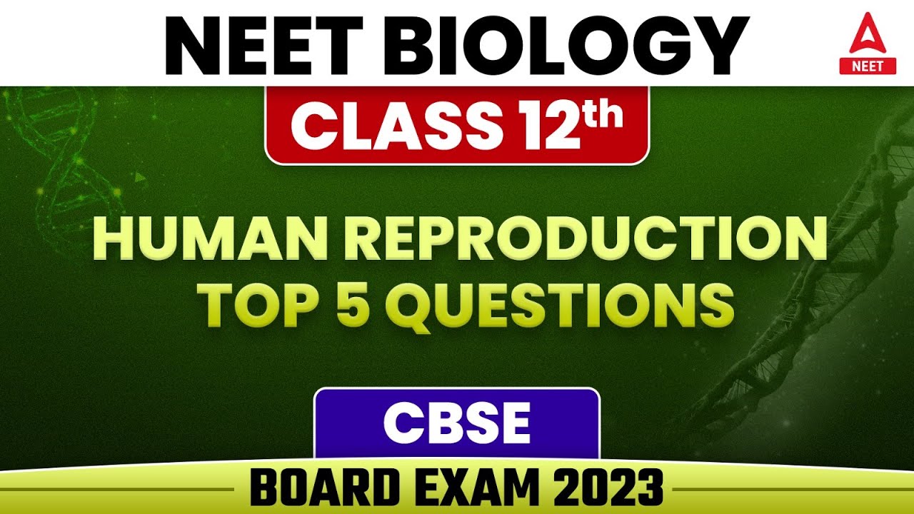 Human Reproduction Top 5 Questions | Class 12 Biology | CBSE Board Exam ...
