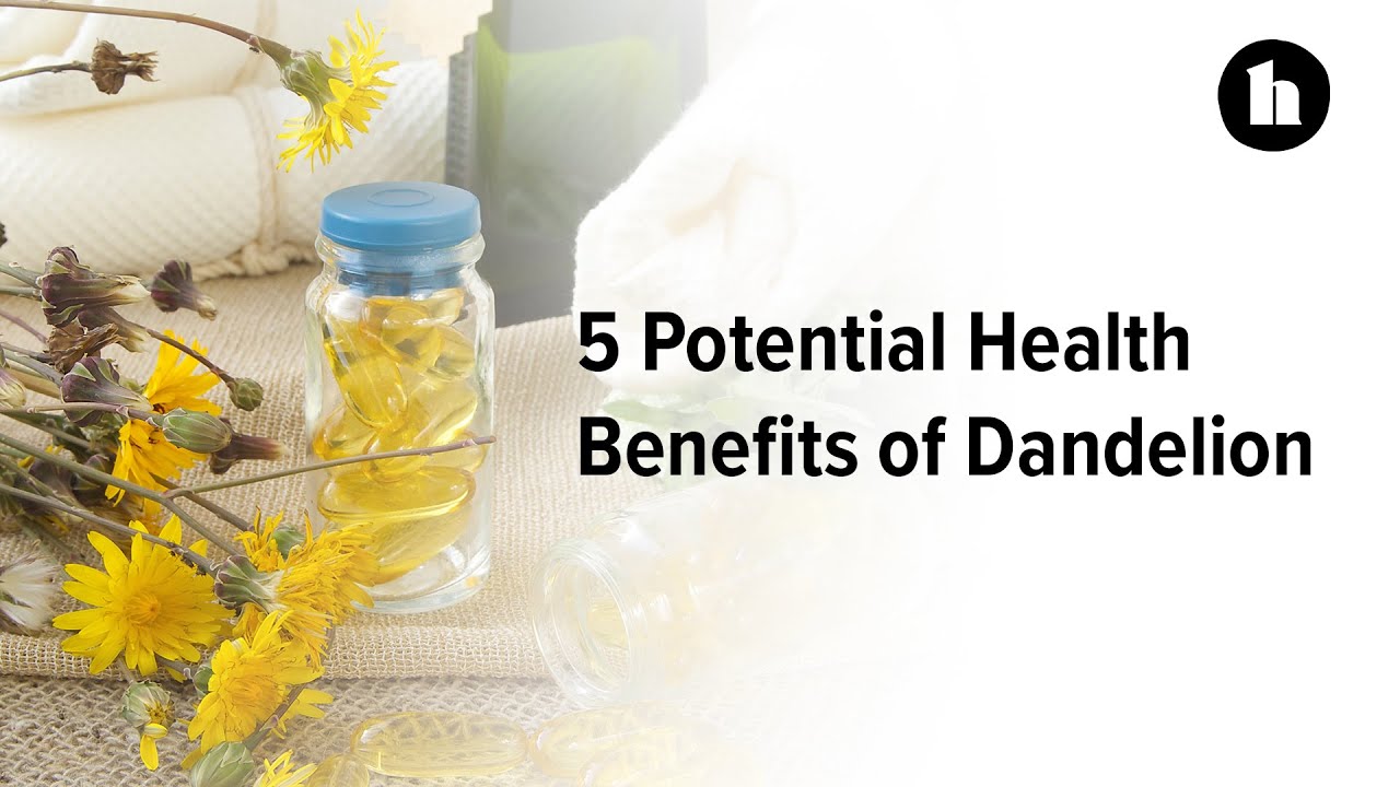 5 Potential Health Benefits of Dandelion | Healthline - YouTube