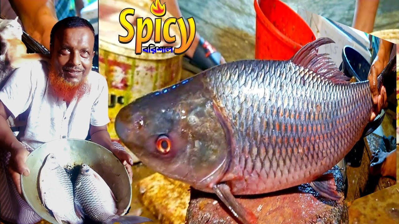 Big Calta Fish Cutting In Village /Never Seen! Fish Cutting Live / Fish ...