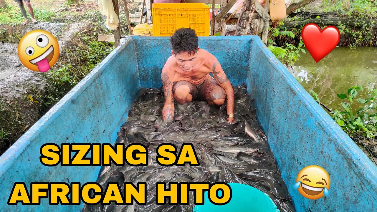 SIZING SA AFRICAN HITO - YouTube