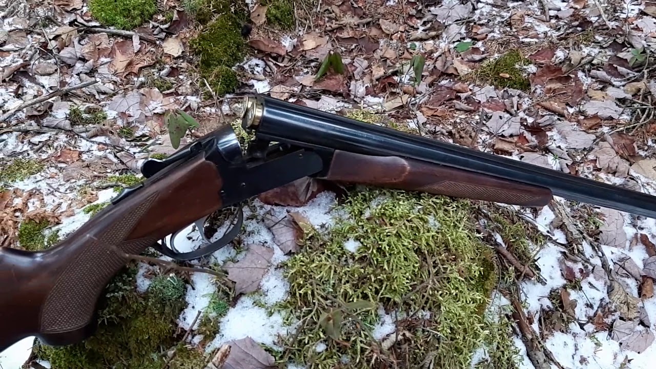 Stoeger uplander 20 gauge IGA - YouTube