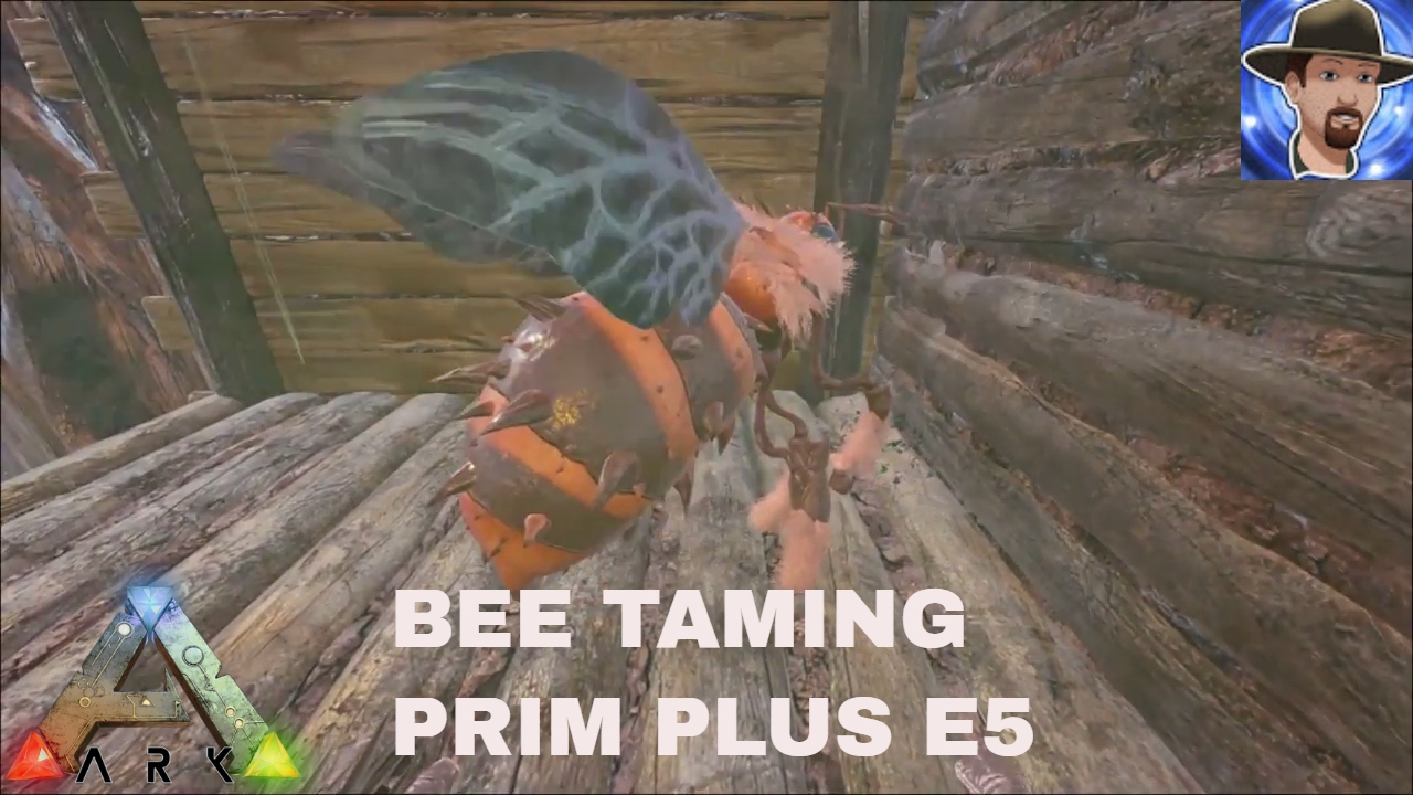 GIANT BEE TAME- PRIM GHILLIE- FIRE ARROWS- TANNING RACK- NEW PRIMITIVE ...