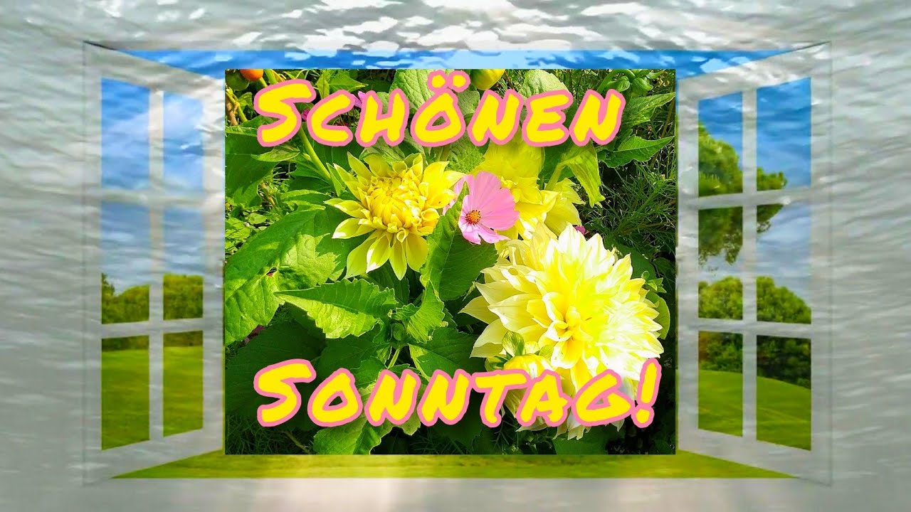 Sch nen Sonntag W nsche Dir Einen Entspannten Sonntag Und Sende Von sch-nen-sonntag-w-nsche-dir-einen-entspannten-sonntag-und-sende-von