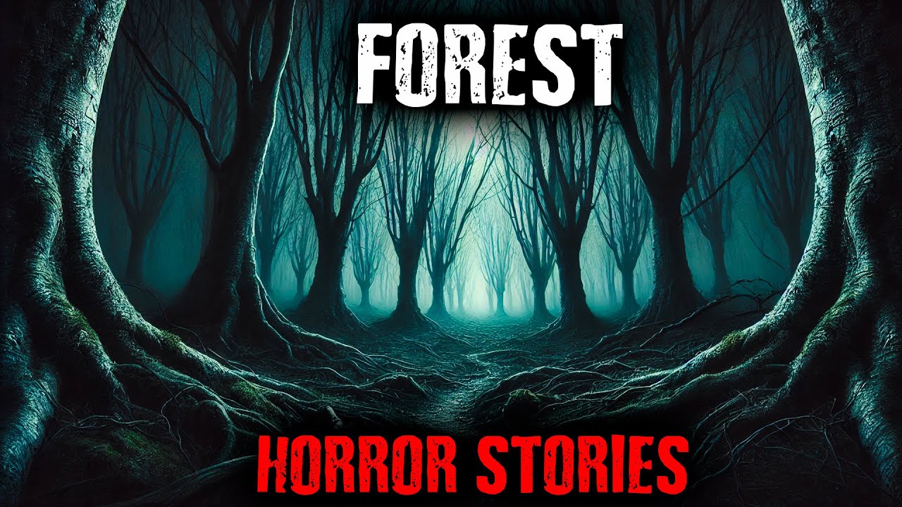 5 TRUE Disturbing Forest Horror Stories - YouTube