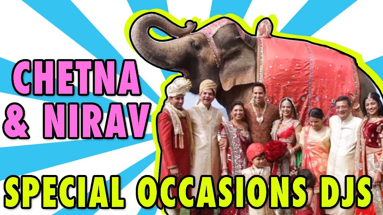 ELEPHANT BARAAT | California Indian Wedding | Ritz Carlton Dana Point ...