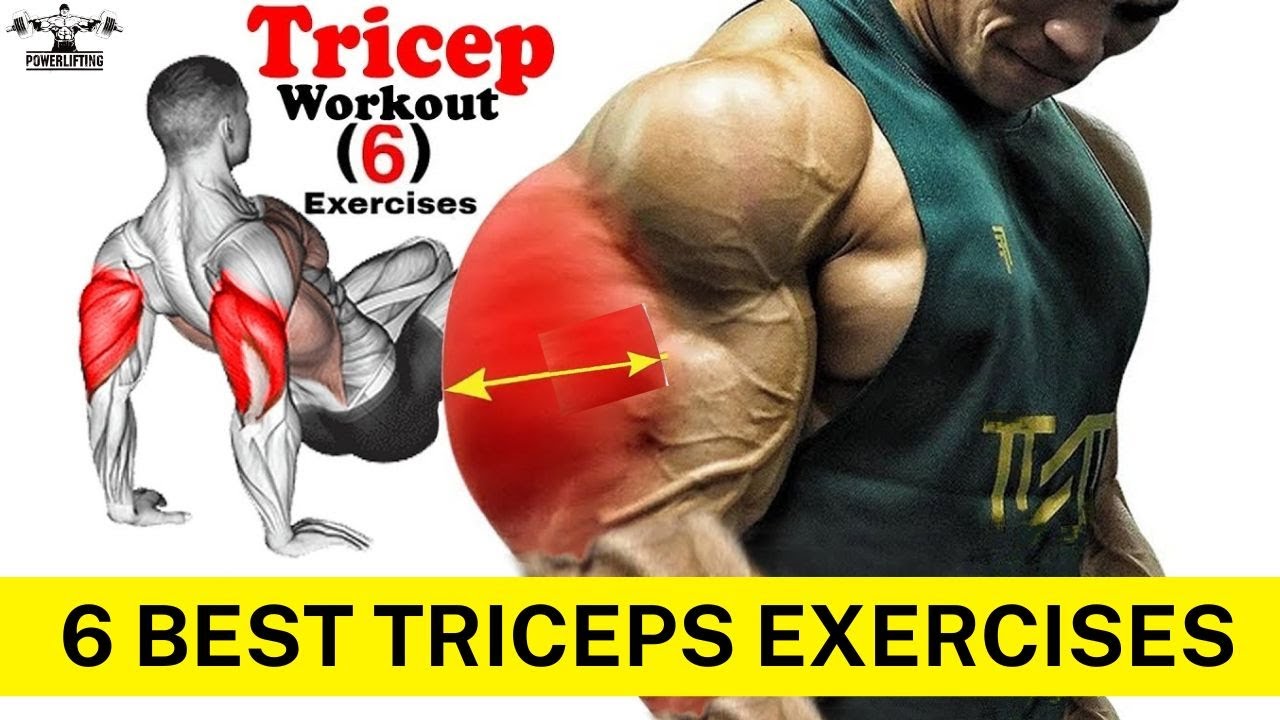 6 Best Exercises To Get Big Triceps Workout Exercises - 6 Perfect ...