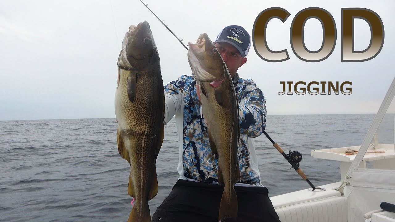 Cod Jigging the windmills was a bust, but our second spot produced ...
