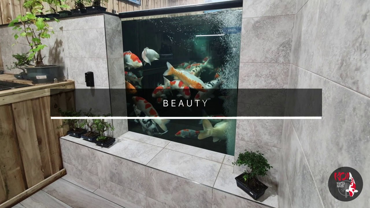Breathtaking Commercial & Residential Ponds: Where Imagination Meets ...