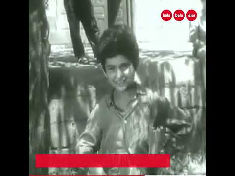 Şərikli çörək filmi. haqqında qısa məlumat