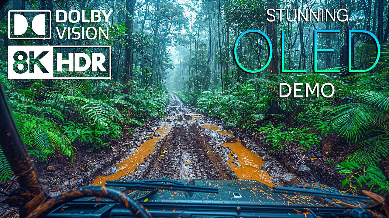 Embrace Earth’s Wonders in Stunning 8K HDR Dolby Vision 60FPS - YouTube