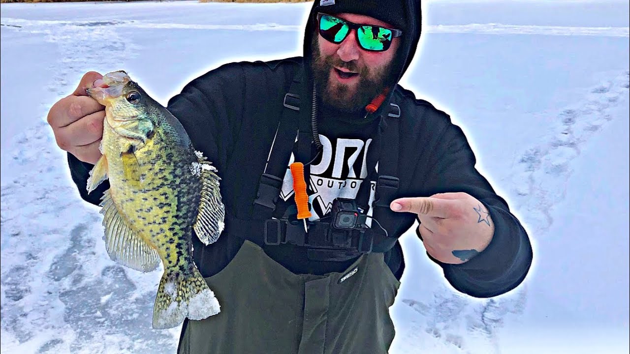 How to Catch Bluegill and Slab Crappie through the Ice!! (Surprise ...
