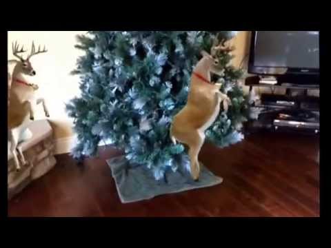 Proof Santa is real - YouTube