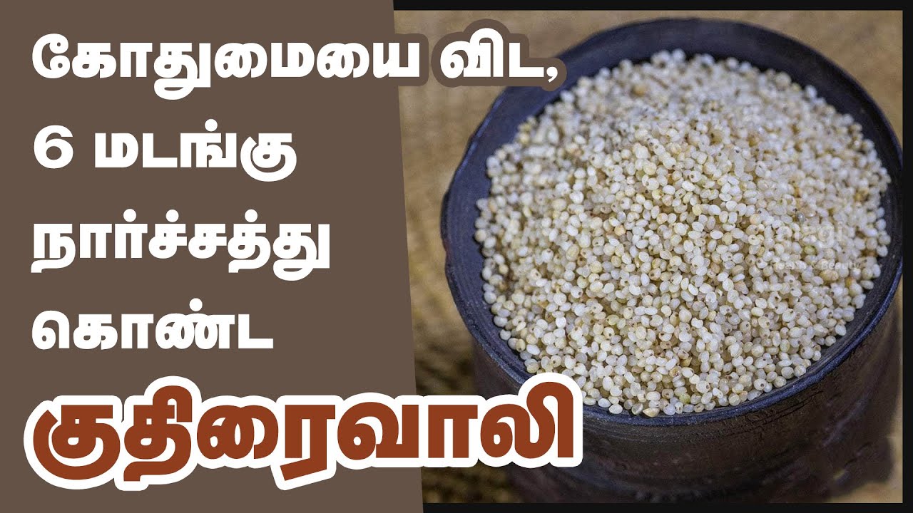 குதிரைவாலி அரிசி மருத்துவ பயன்கள்| Kuthiraivali Rice Benefits in Tamil ...