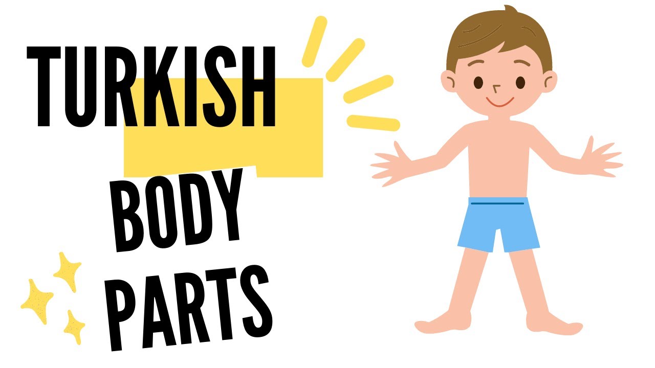 Turkish Body Parts: Essential Vocabulary Guide - YouTube