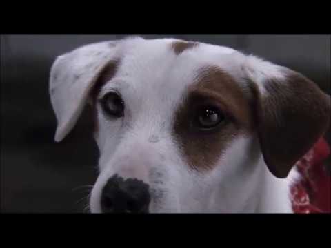 Problem Child 2 - Nippy Hypnotized