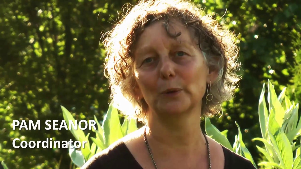 Join our lunchtime Wander this June 12th - Pam Seanor - YouTube