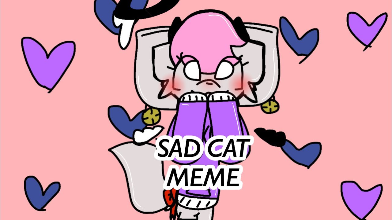 SAD CAT//MEME//ENJOY - YouTube