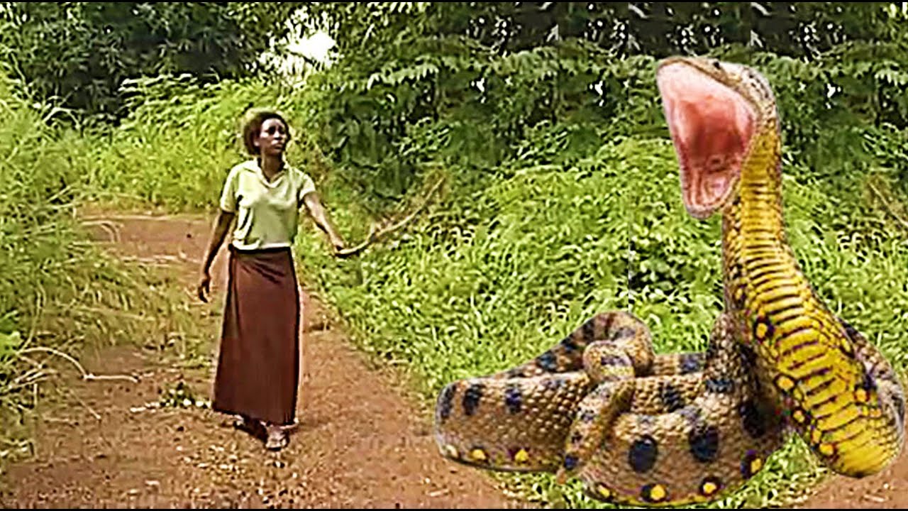 THE BLIND POWERFUL VIRGIN GIRL WHO SAVE THE VILAGE FROM THE EVIL PYTHON ...