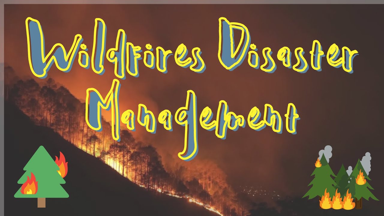 Wildfire Disaster Management - YouTube