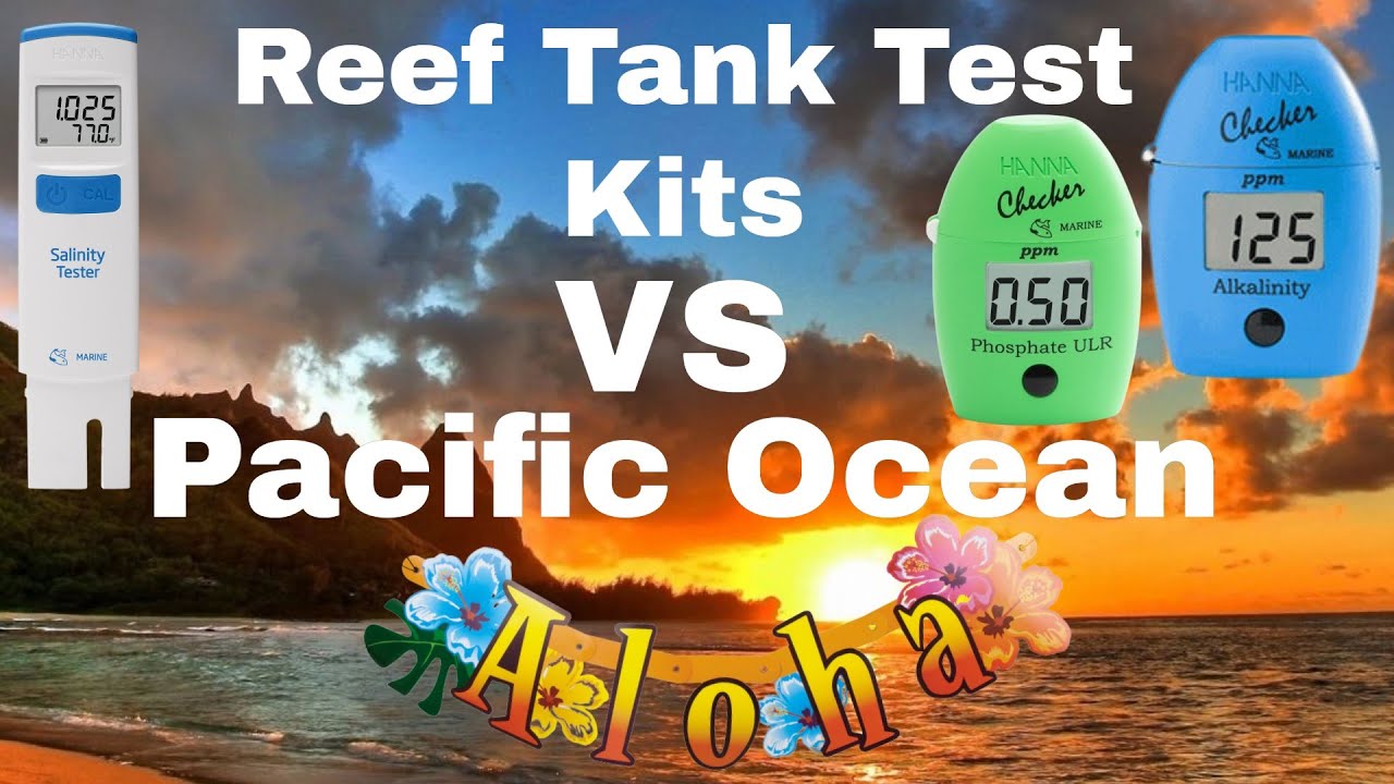 Reef Aquarium Test Kits at Carlo Simmons blog