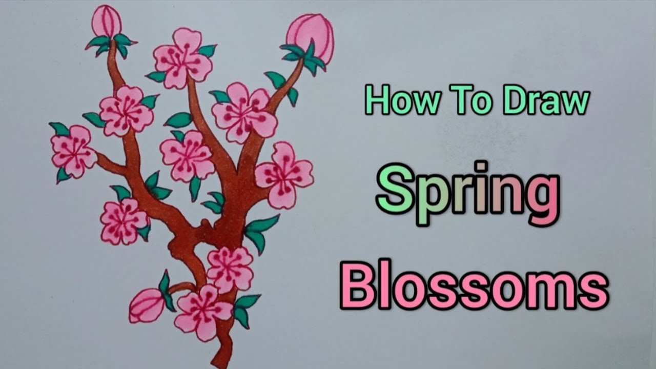 How To Draw Spring Blossoms / Spring Blossoms Drawing - YouTube