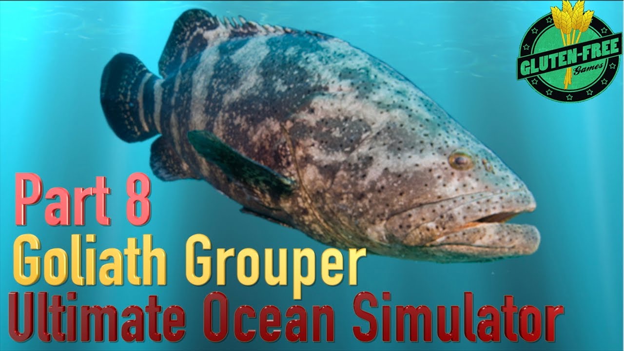 Ultimate Ocean Simulator- "Atlantic Goliath Grouper"-Part 7 -By Gluten ...