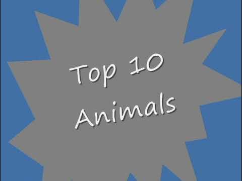 Top Ten Animals - YouTube