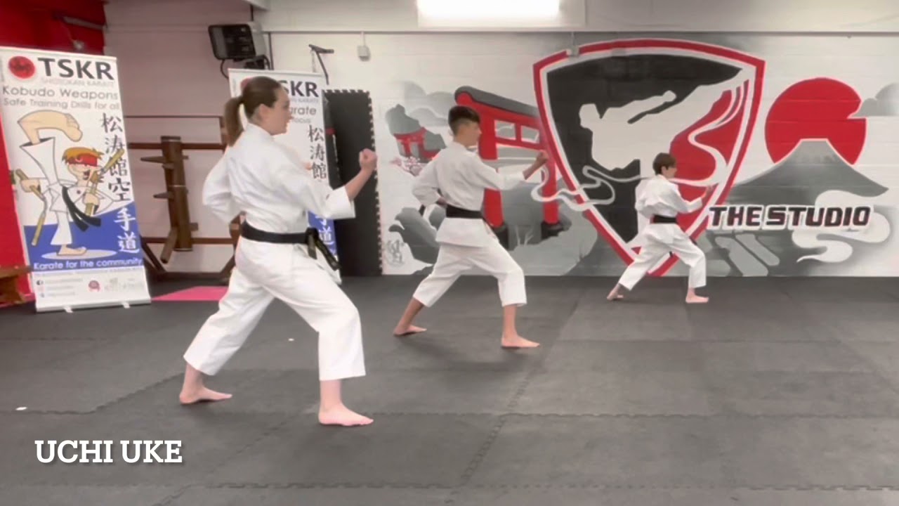 10th Kyu Beginner Karate Basics 10th Kyu Blue Belt - YouTube