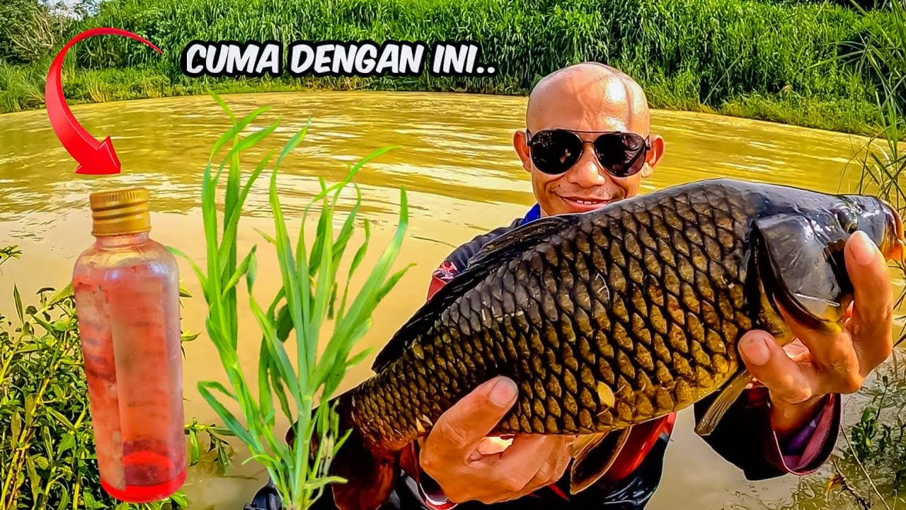 Salah Target.!! Mancing Ikan Umpan Rumput Dimakan Ikan Mas Besar - YouTube