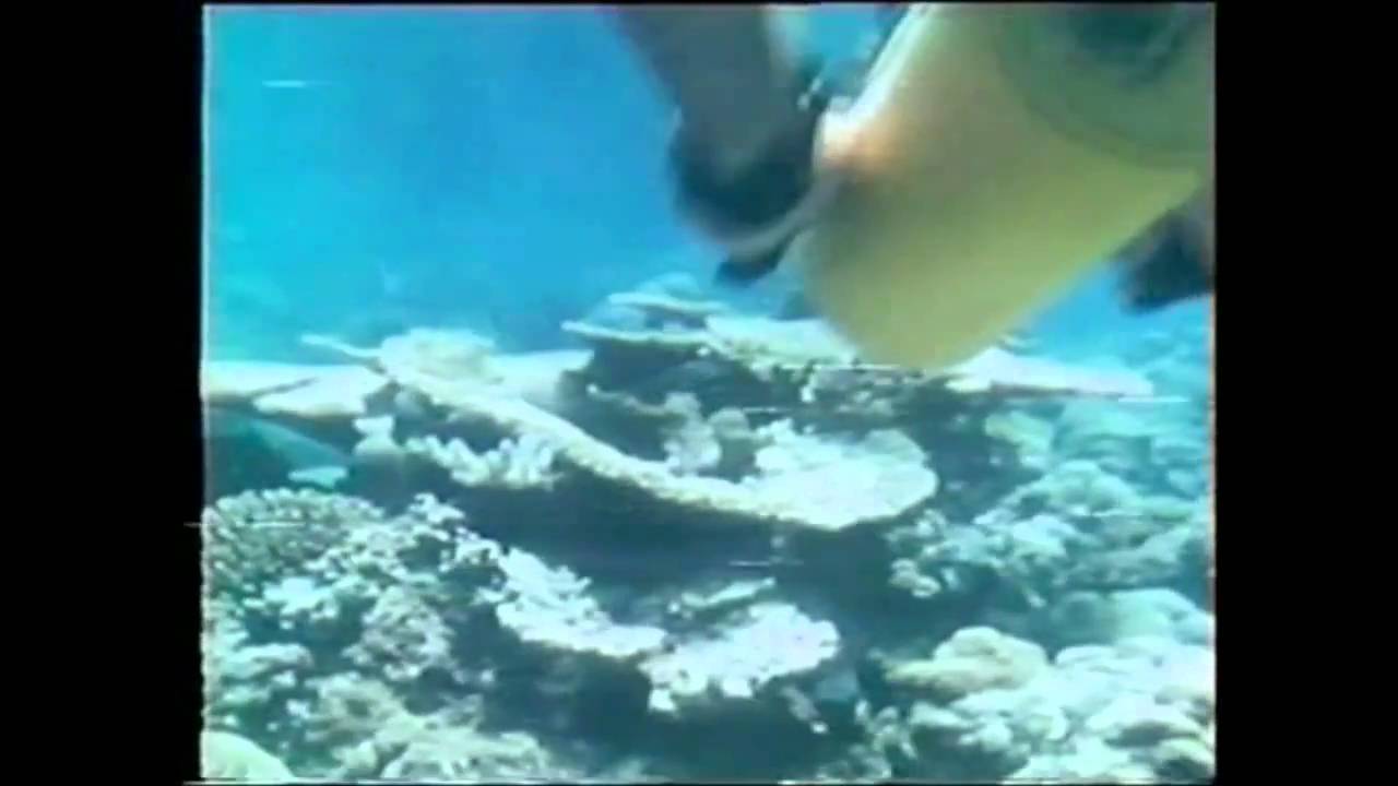 Mainstay Vintage TV Advert - 'Mauritius Underwater' 1984 - YouTube