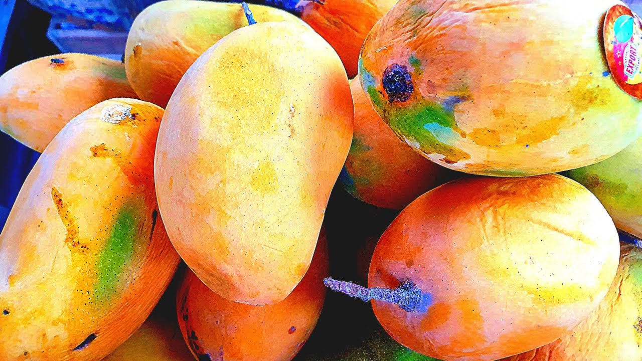 Pakistan most famous mango | Premium export Quality mango | Mango ...