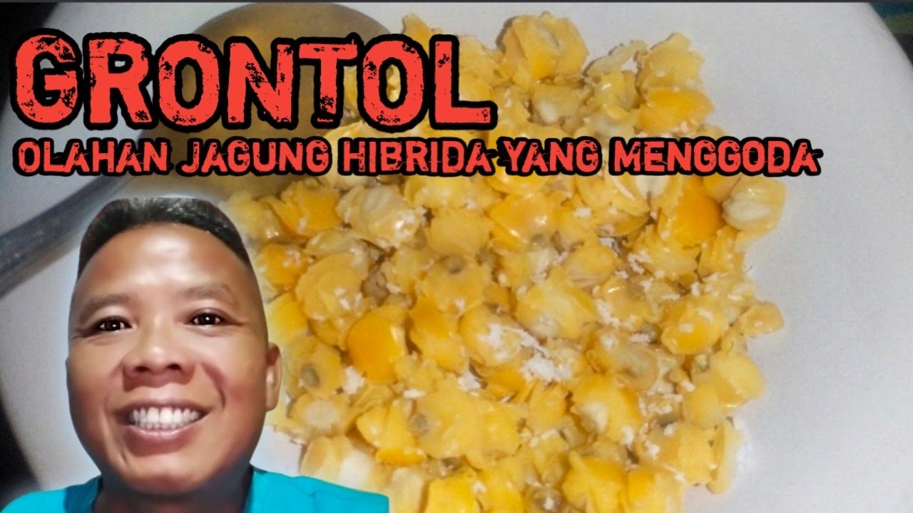 GRONTOL , OLAHAN JAGUNG HIBRIDA YANG MENGGODA - YouTube
