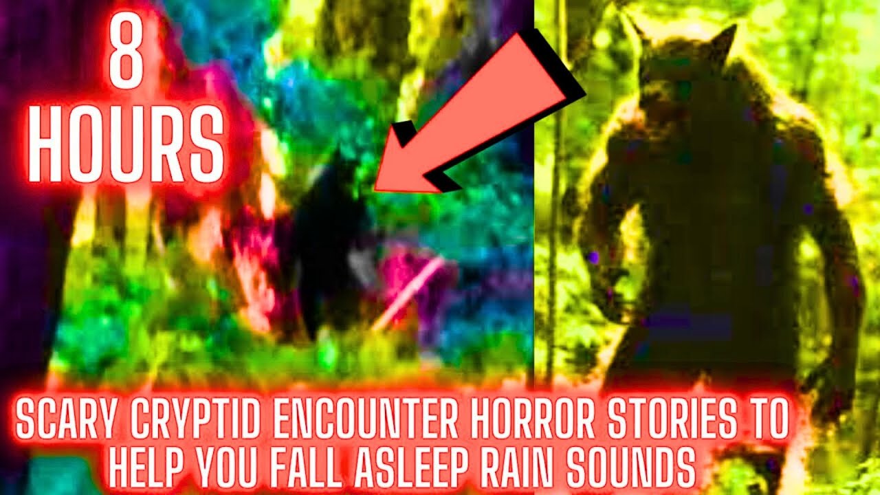 Rain Sounds And Scary Cryptid Encounter Horror Stories To Help You Fall ...