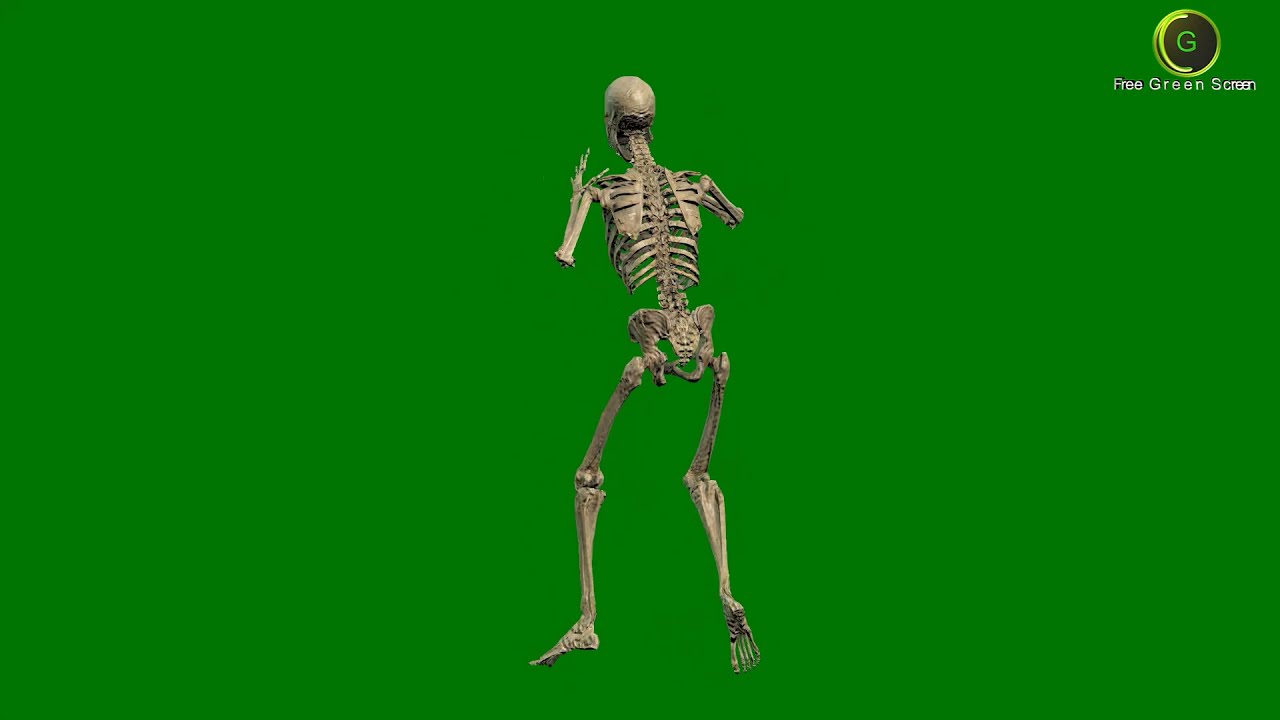 Skeleton Actions Green Screen HD - YouTube