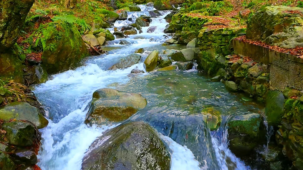 10 Hours of Serene Mountain Rapids: Gentle Sounds of Cascading Water ...