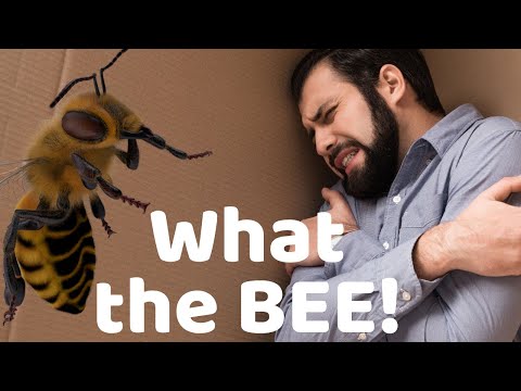 What To Do About Many Bees In The Attic