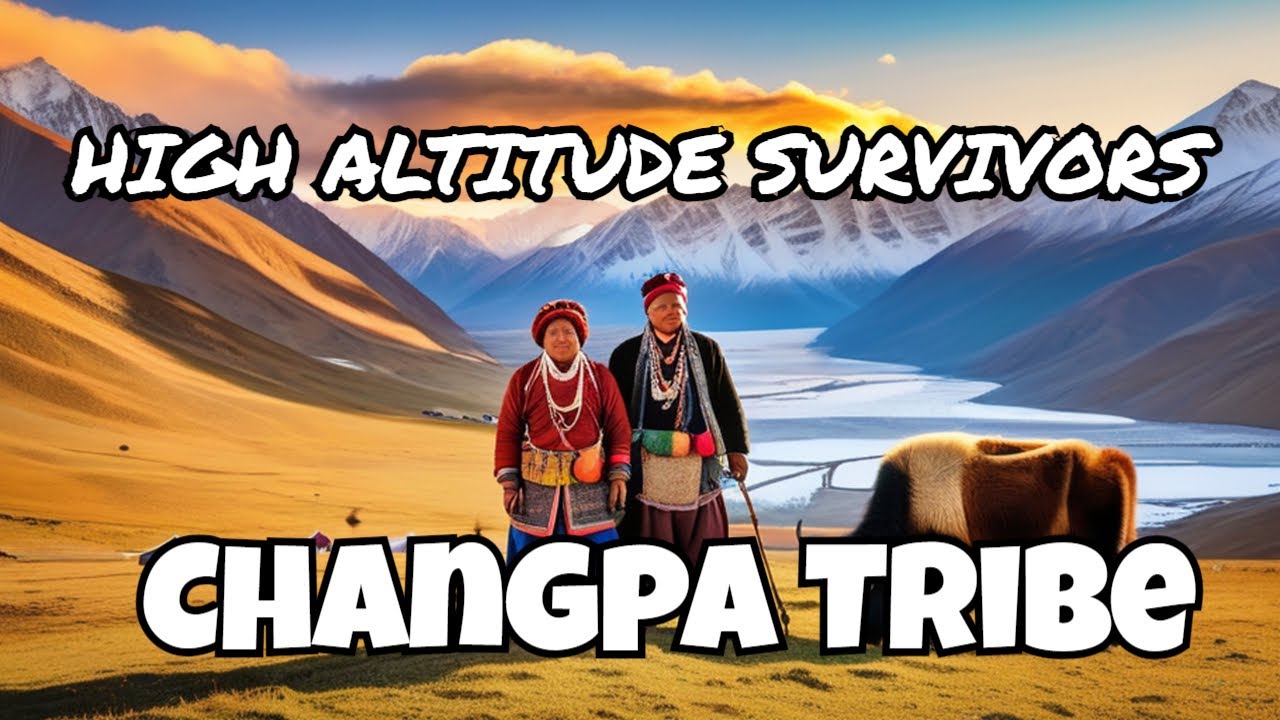 Changpa Tribe: Nomads of the High Altitude #indianexpressnewsanalysis # ...
