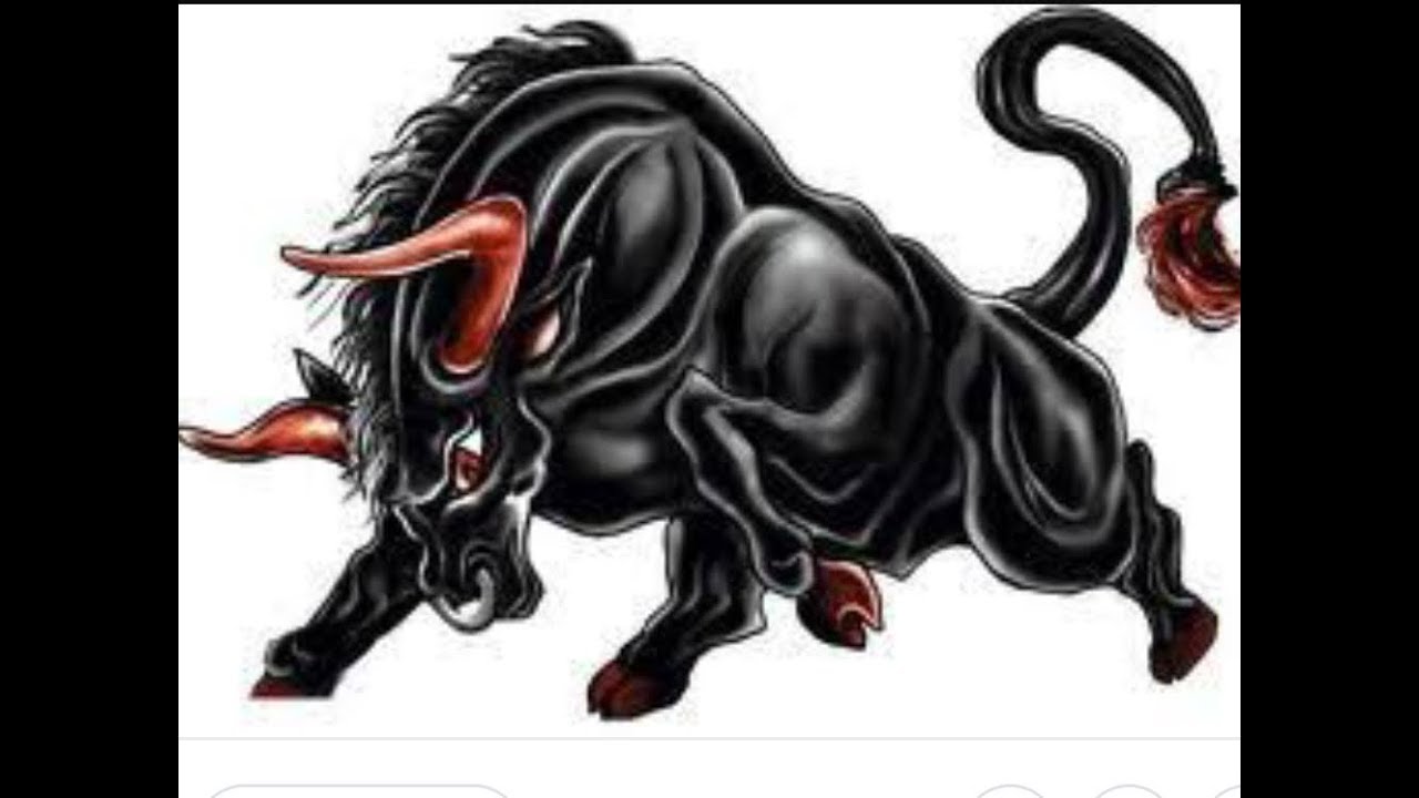 Realistic Angry Bull Drawing