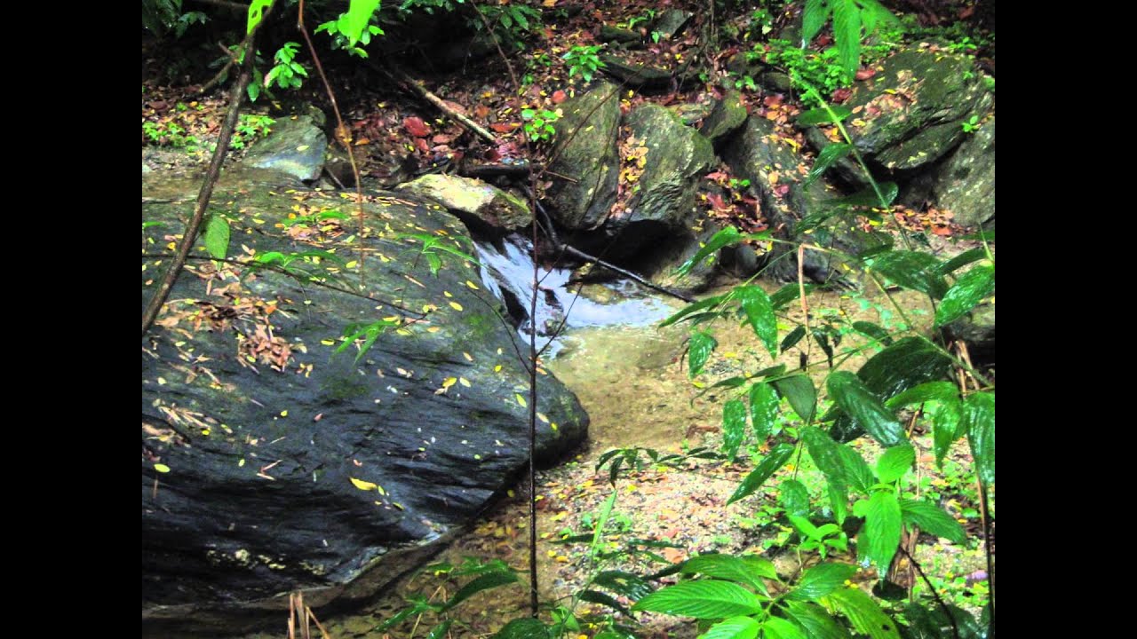 Blue Basin Waterfall Trinidad - YouTube
