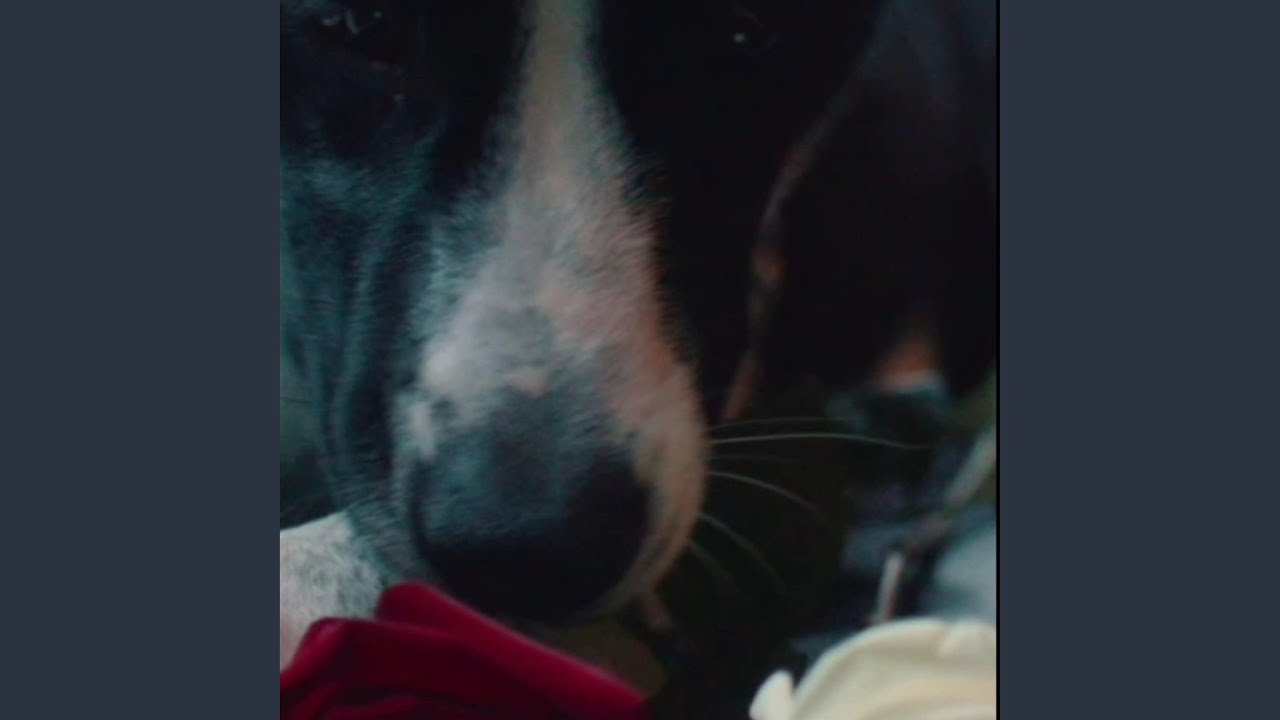 Tears Can Water Roses - YouTube