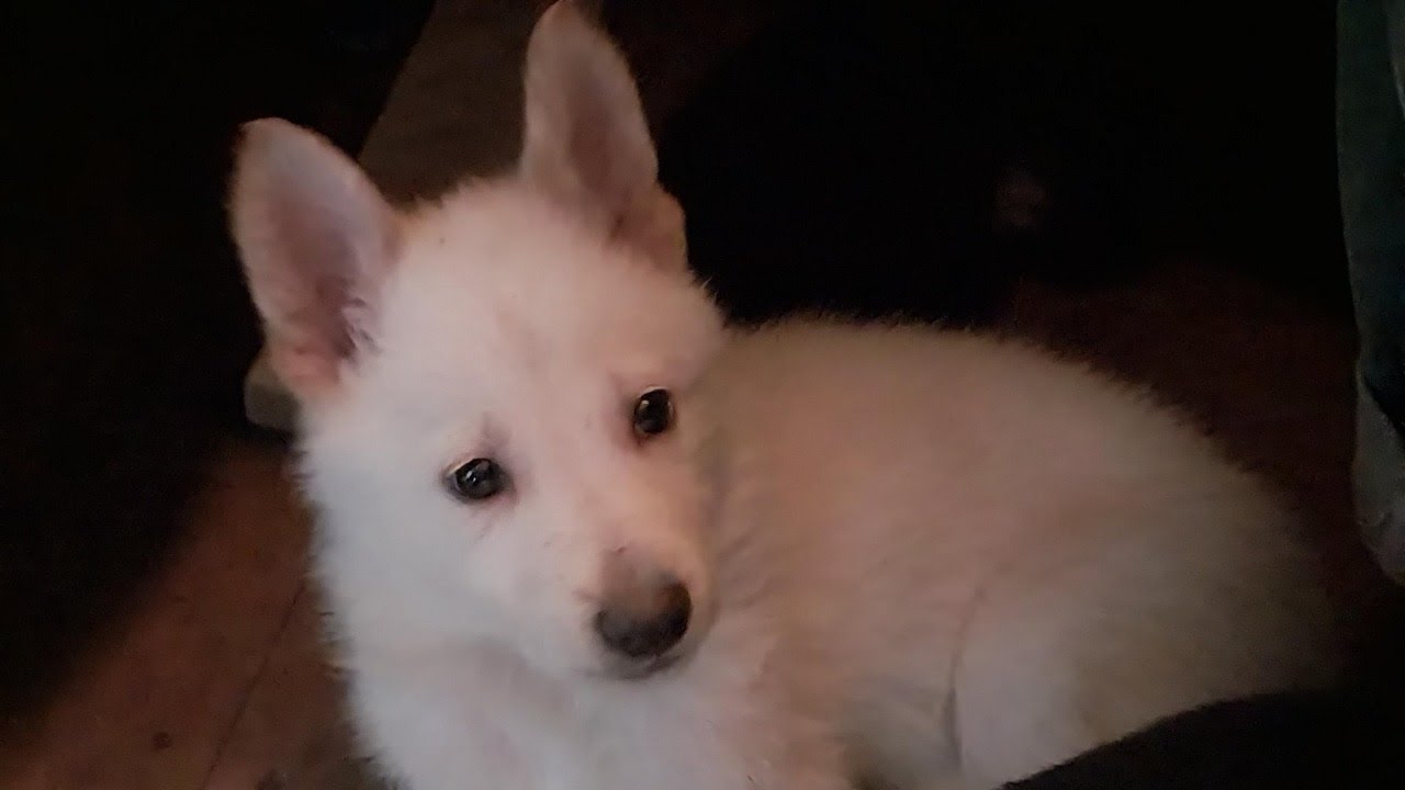 Oh Heck You Just Never Know - YouTube