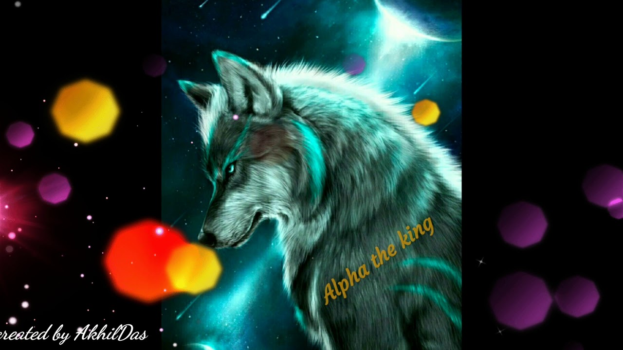 Best Music of Alpha the king of Wolf - YouTube