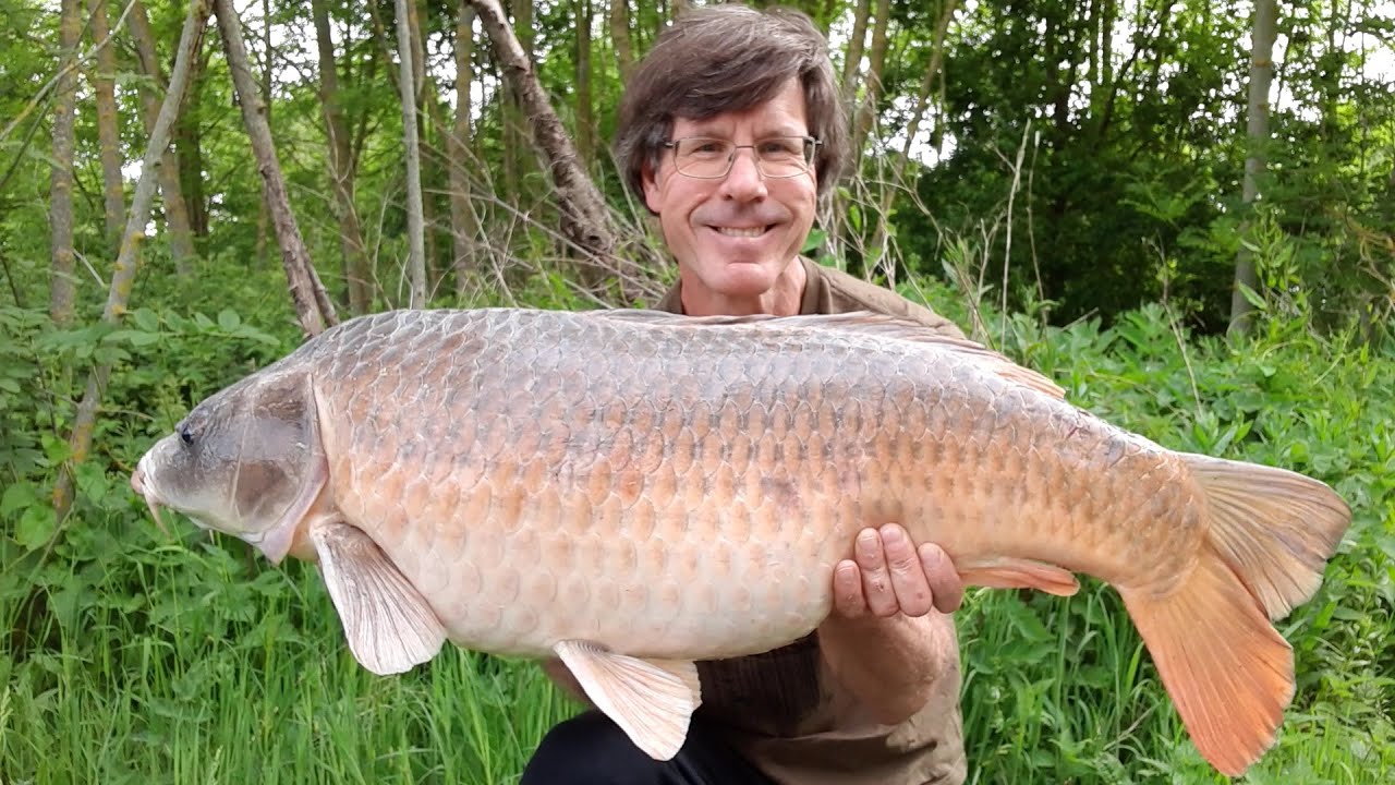 Homemade Beginner Carp Boilies - YouTube