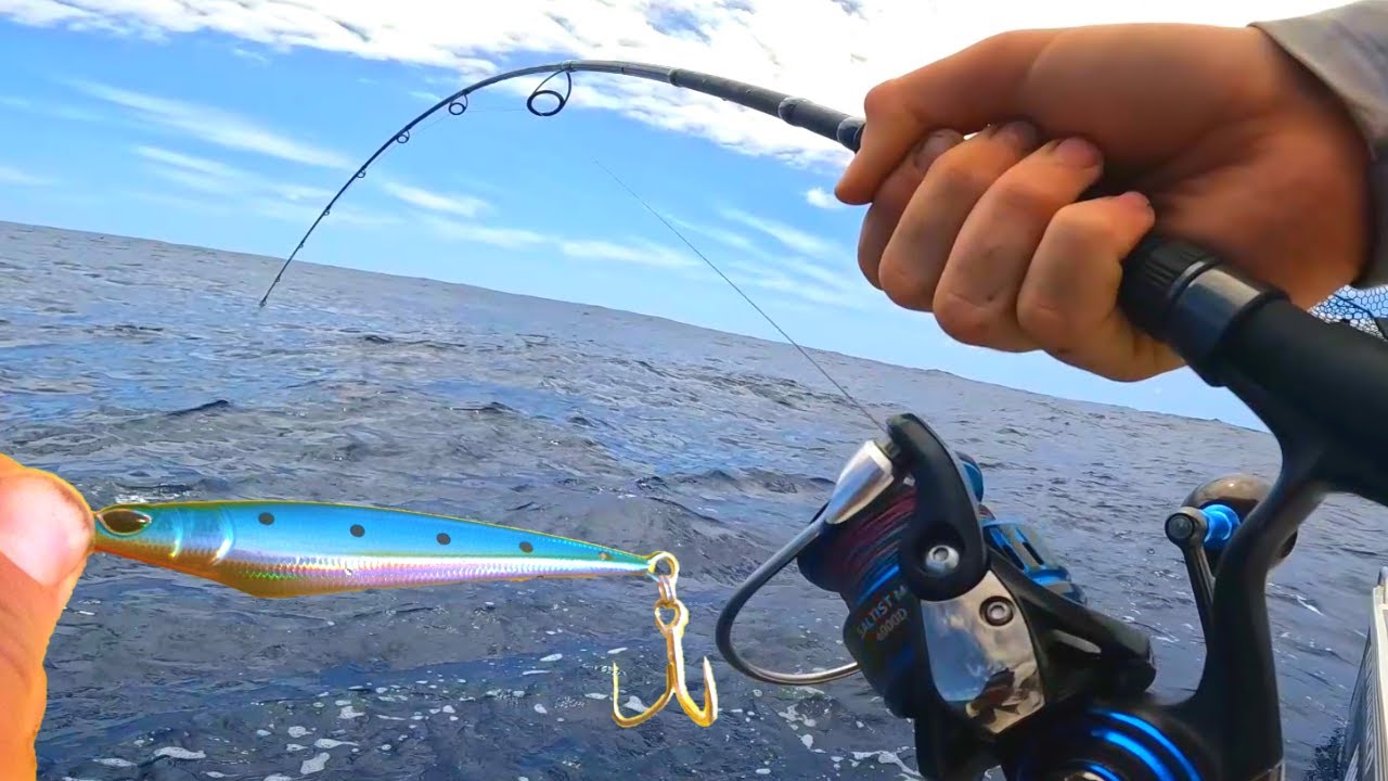 New Nomad RIDGEBACK vs Top Water PELAGICS - YouTube