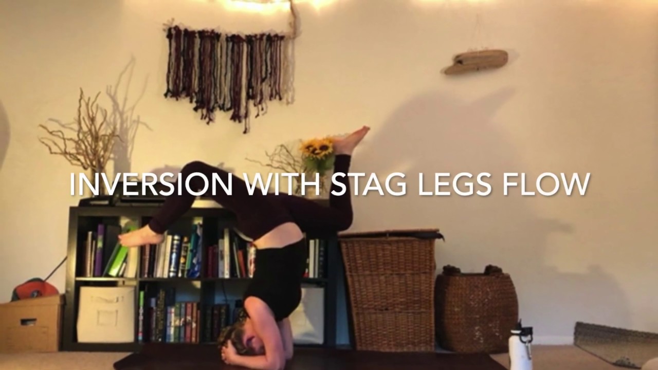 Inversion with stag legs class - YouTube