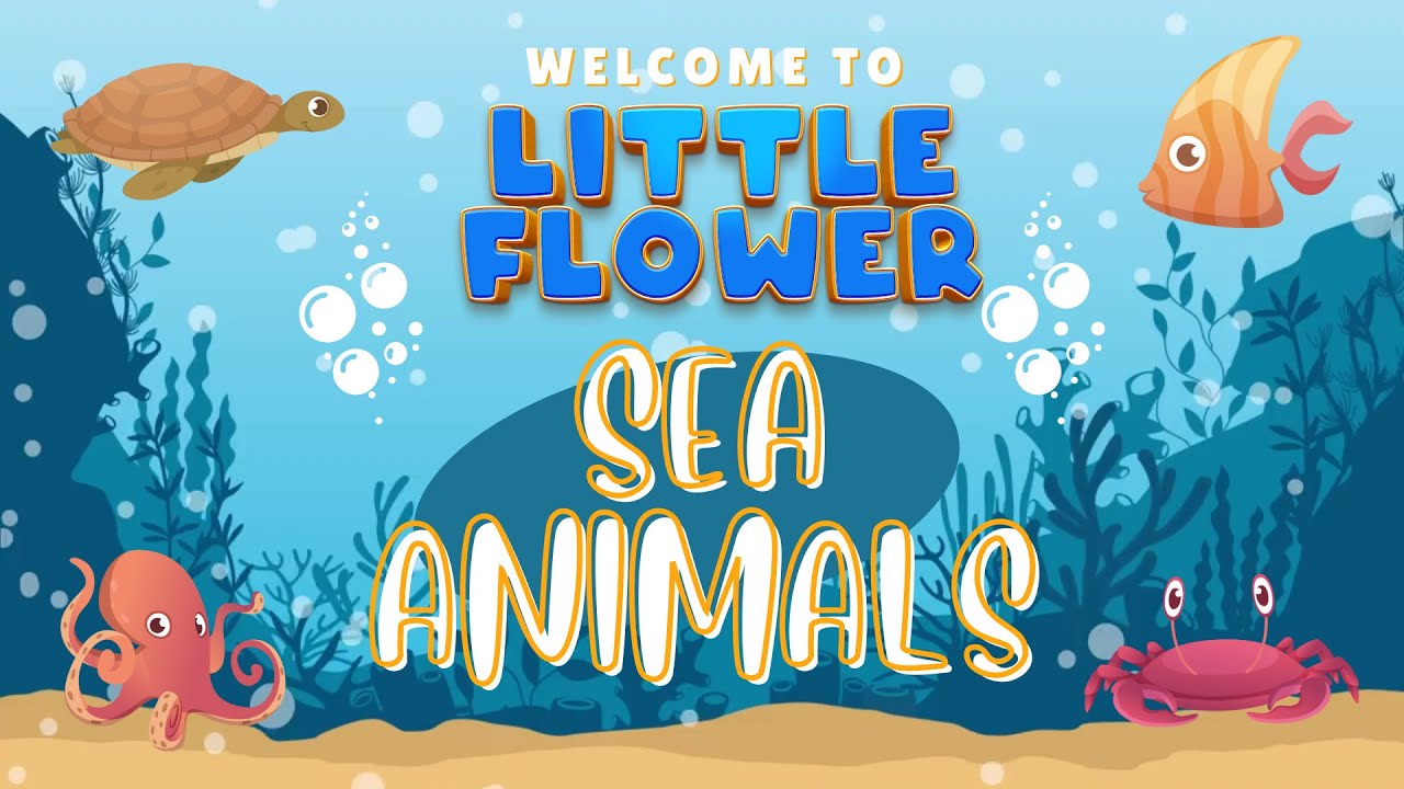 Ocean Explorers: Dive into the World of Sea Animals with Little Flower ...