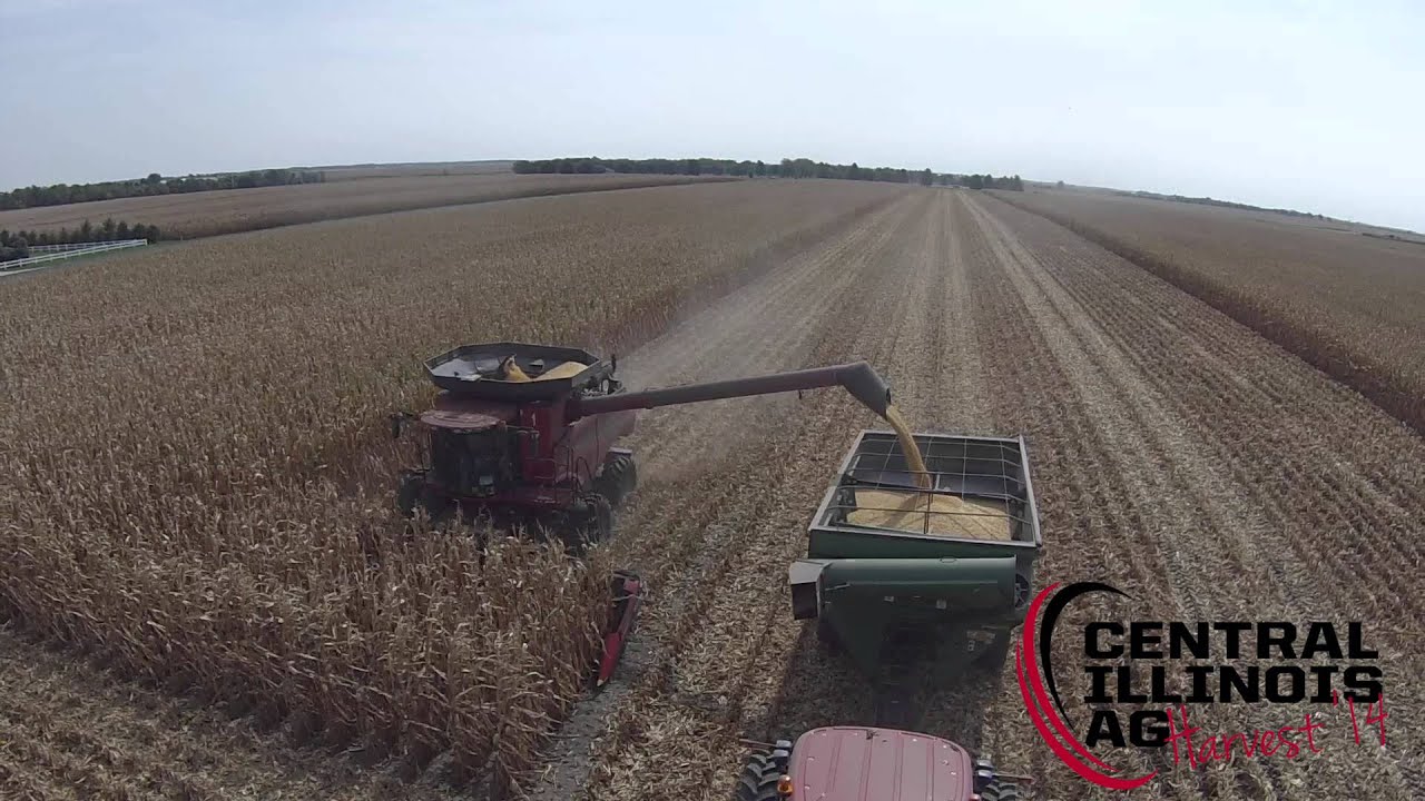 Frontier Farms - Harvest 2014 - YouTube