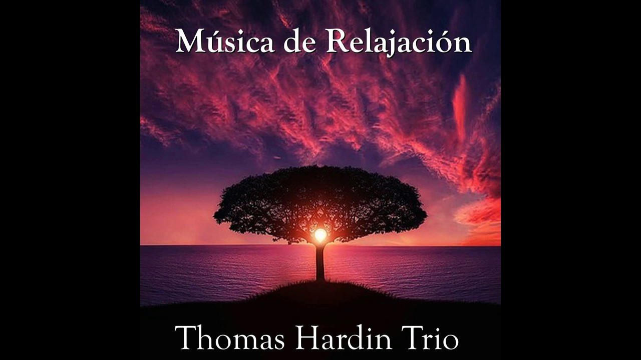 08 Thomas Hardin Trio - Symphony No. 9, Op. 95: II. Largo - Música de ...