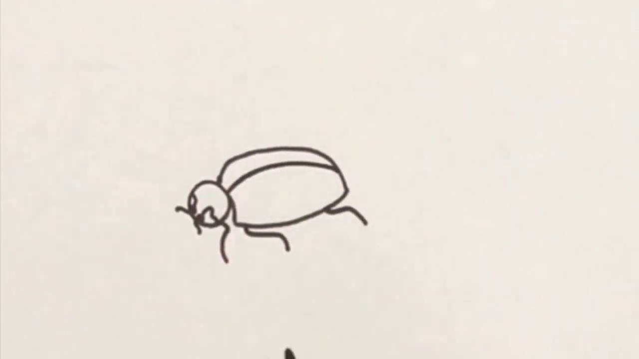 KOLAY BÖCEK NASIL ÇİZİLİR?ADIM ADIM ÇİZİMLER,Kolay çizimler,HOW TO DRAW ...